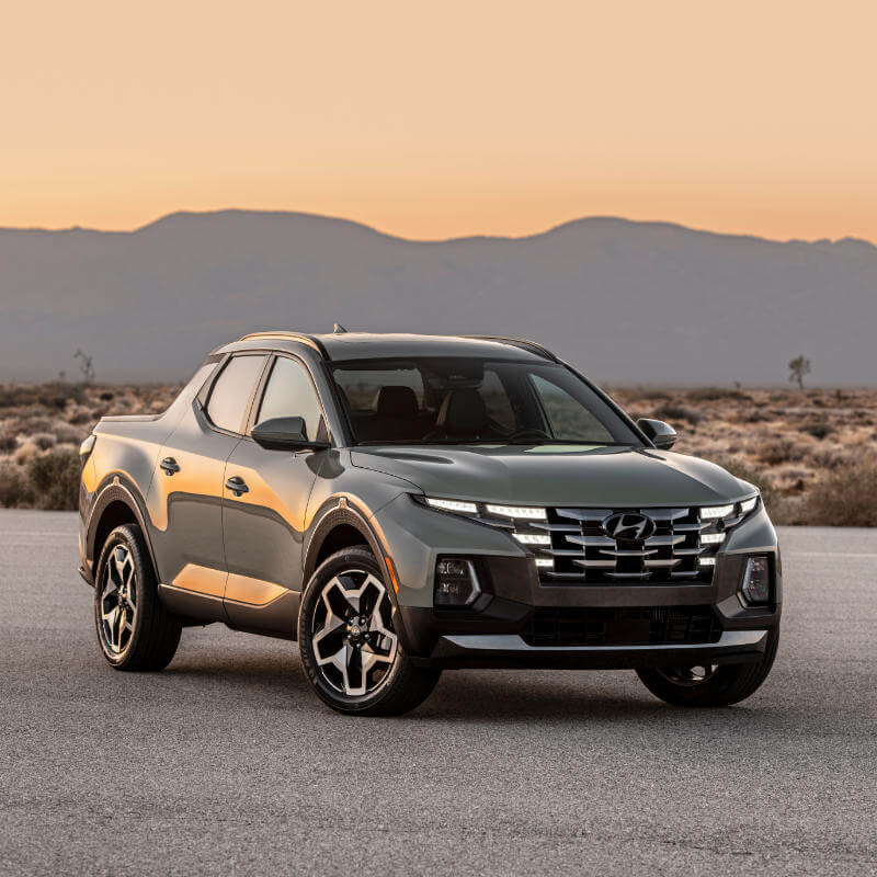 SDBG — Trading Company LLC